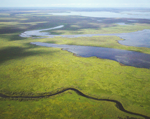 Real Estate Builders and Developers in Pune | New Projects in Pune ...